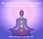 Free Chakra Video Course – Chakra Boosters